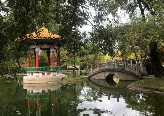 shunia Zentrum Köln - Yoga mitten im Leben
